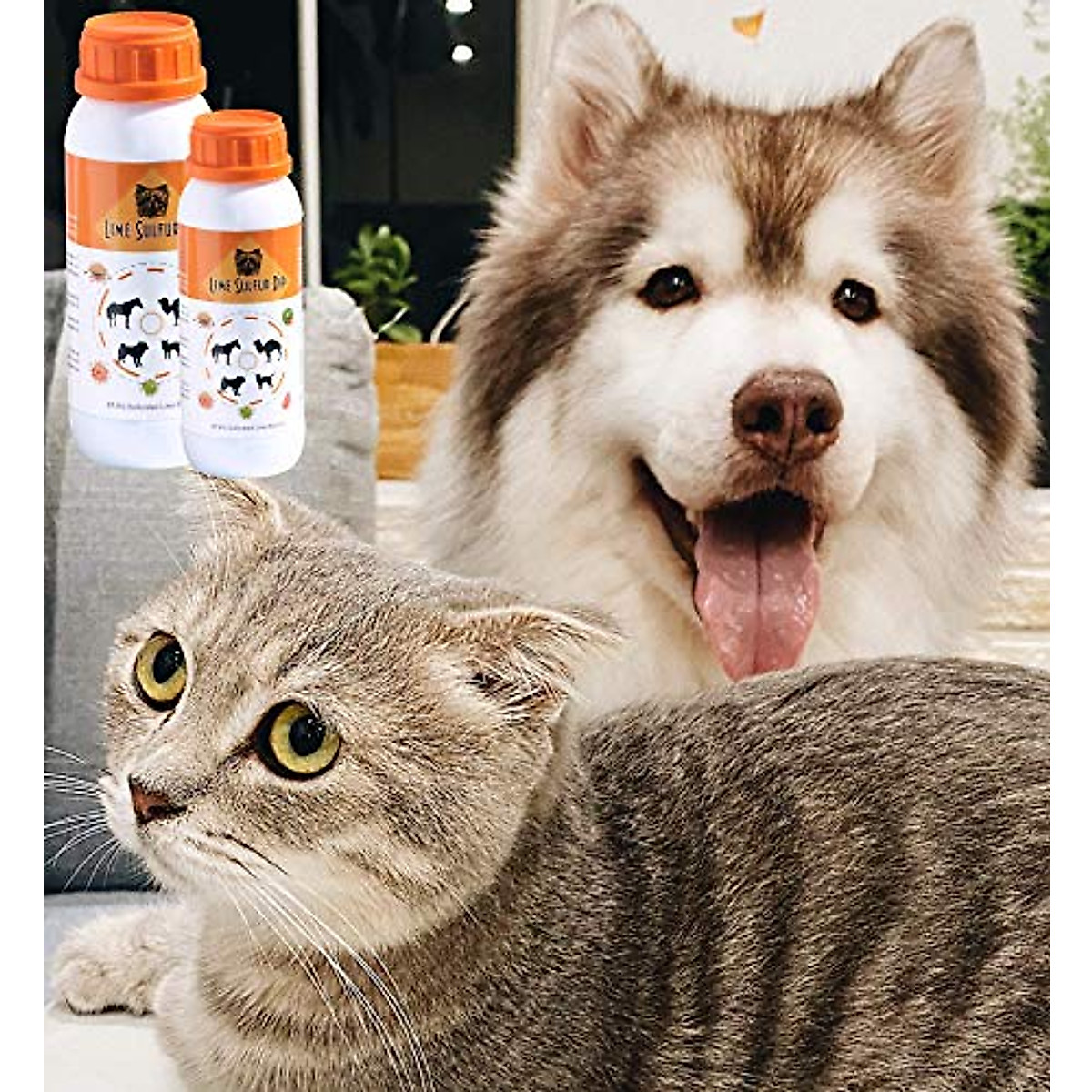 Classic's Lime Sulfur Dip - Pet Care for Itchy and Dry Skin - Xtra Strength Formula - Safe Solution for Dog, Cat, Puppy, Kitten, Horse (16 fl oz)