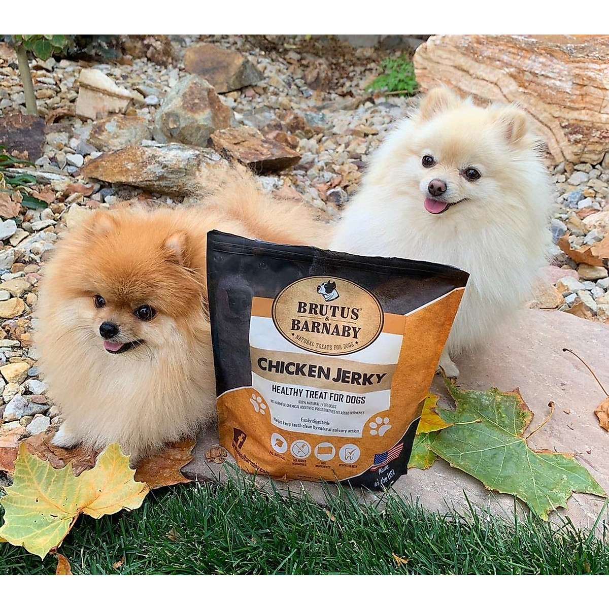 BRUTUS & BARNABY Chicken Jerky Dog Treats- Dehydrated Crunchy USA Premium Fillets, Grain-Free, Preservative-Free, No Fillers. All Natural Chicken Strips are Great for Dogs and Cats (10oz)