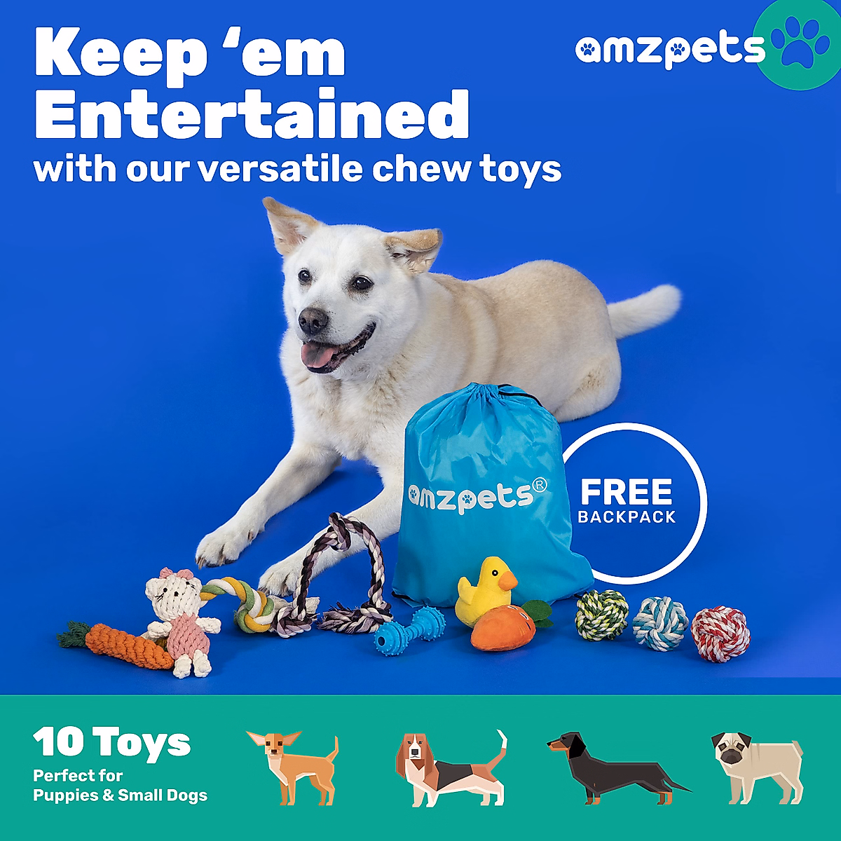AMZpets 10 Dog Toys for Small Dogs and Puppies, Squeaky Dog Toys Rope Toys for Plush Games, with Chewing Ropes/Balls/Rubber Bone/Carry Bag, Variety Playing Toys Set for Toss and Tug Play