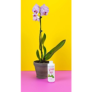 Orchid Fertilizer | Food | Encourages Orchids to Grow in Pot/Pots | for Indoor Outdoor Plant | Orchid Potting Mix by Aquatic Arts