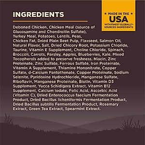 Wellness CORE Natural Grain Free Dry Dog Food, Puppy, 4-Pound Bag