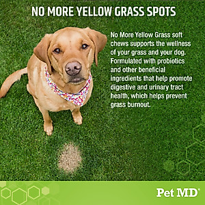 Pet MD Lawn Aid Chews - No More Yellow Spots Dog Urine Neutralizer for Lawn - pH-Balancing Helps Prevent Dog Pee from Killing Grass - Enhanced with Digestive Probiotics for Dogs & Puppies - 120 ct