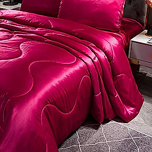 Sisher 5Pcs Silk Comforter Set Queen Bedding Set Red Satin Silky Soft Bed in A Bag Luxury Quilt Comforter&Sheets (1 Comforter, 2 Pillowcases, 1 Flat Sheet, 1 Fitted Sheet)