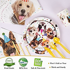 DECORLIFE Dog Party Decorations, Dog Themed Birthday Party Supplies Serves 16, Includes Paper Plates Set, Banner, Hanging Swirls, Total 178PCS, for Puppy Birthday Decorations