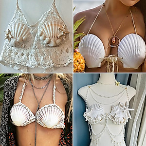 QEQEKAKA 6PCS Scallop Shells 4‘’-4.5" Natural Sea Shells White Hawaiian Scallop Shells for Baking DIY Craft Home Vase Fillers & Beach Wedding Party Decor