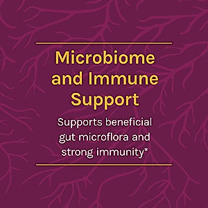Host Defense, Turkey Tail Mushroom Powder, Supports Immune Health, Mushroom Supplement, Plain, 3.5 Ounce (Pack of 1)