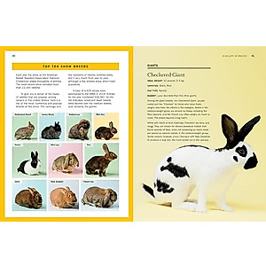 Storey's Guide to Raising Rabbits, 5th Edition: Breeds, Care, Housing