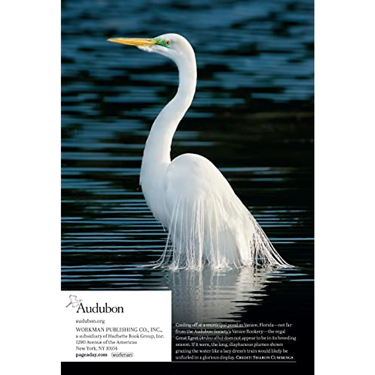 Audubon Engagement Calendar 2024: A Tribute to the Wilderness and Its Spectacular Landscapes