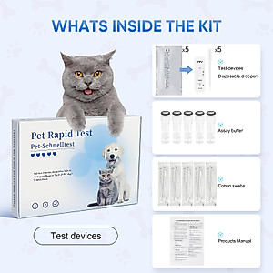 PawsXfun Cat Healthy FPV Test Kit for Cats - Accurate & Quick 5-Pieces Home Detection in Feces in 5-10 Minutes! Easy to Use Non-Invasive Early Diagnosis Tool Suitable for All Breeds & Ages