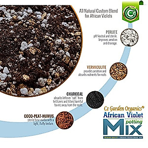 Organic African Violet Potting Mix - Made in USA with Premium Grade Ingredients - Coco Peat Humus • Perlite • Vermiculite • Horticultural Biochar Charcoal to Improve Plant Growth