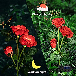 Anordsem Solar Outdoor Lights - 2 Pack Garden Decor Lights Waterproof Solar Garden Lights Red Rose Light for Garden, Patio, Yard, Flowerbed,Pathway Decor