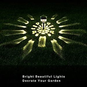 LAMTREE 6 Pack 8 Lumens Solar Pathway Lights,Outdoor Solar Lights Waterproof,Landscape Lights for Path, Pathway, Walkway, Yard, Lanscape, Lawn and Garden