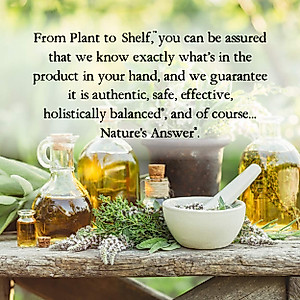 Natures Answer Periorub Topical Rub, 0.5 oz (Pack of 6) Dentist Formulated Soothing Gel for Teeth and Gums