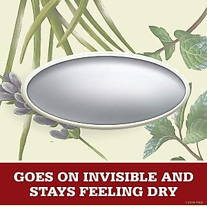 Old Spice Antiperspirant Deodorant for Men, Wilderness With Lavender, Inspired By Nature, Invisible Solid 2.6 Ounce (Pack of 12)