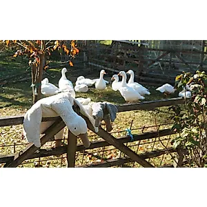 Senger Organic Cotton 14.5" Goose Warming Pillow - Includes Cherry Stone Warmer - Handmade in Germany