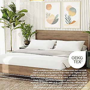 King Size Pillows for Bed Pillows Made in USA by Looms and Linens King Sham Insert Pillow 20 x 36 Flat Sleeping Pillow Insert for Bedroom Washable Pillow Inserts