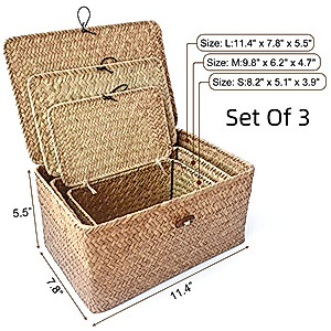 TICYACK Straw Storages Baskets With Lid, Hand-Woven for Seagrass, for Desktop Home Decoration (S/M/L)