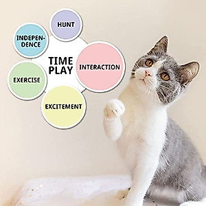 2Pcs Mini Electric Robot Beetle, Interactive Cat Toy Excites & Entices Cats Cuddling Chasing Fun, Realistic Beetle Vibrating Wings, Cat Bug Educational Toy for Indoor Cats Kitten Play Chase Exercise