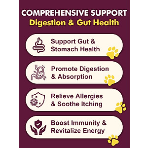 Probiotics for Dogs, Dog Probiotics for Digestive Health - Fiber Riched Prebiotic & Digestive Enzymes with Pumpkin, Omega-3, 6 Billion CFUs Support Gut & Immune Health, Diarrhea, 118 Soft Chews