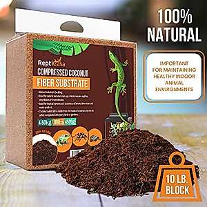 ReptiCasa Compressed Coconut Fiber Substrate, 10 lb. Block, Natural Husk Terrarium Bedding, Reptiles, Frogs, Snakes, or Tortoise, Odor and Waste Absorbent Compostable, Organic with High Expansion
