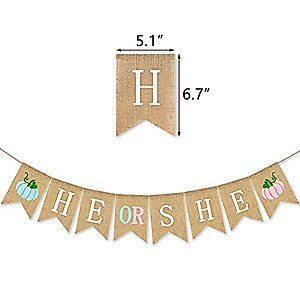 He or She Pumpkin Banner Gender Reveal Baby Shower Garland Autumn Party Decoration Pink Blue Bunting Burlap Flag Boy or Girl Pregnancy Announcement Supplies