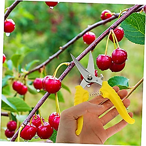 VILLFUL 1pc Pruning Shears Pruners Bonsai Cutters Gardening Trimming Tool Labor Saving Scissor Gardening Tool Yard Pruning Tools Gardening Supplies Jagged Stainless Steel