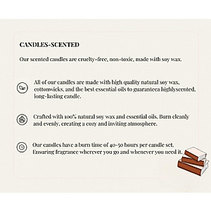 Book Lovers Gifts, Gifts for Readers, Reading Gifts, Reading Candles, Reading Themed Gifts, Lemon Lavender Candle, Gifts for Men Women