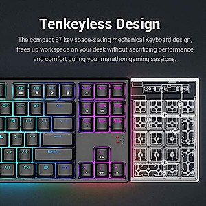 1ST PLAYER TKL RGB Gaming Mechanical USB Wired Keyboard DK5.0 LITE with Cherry MX Blue Switches Equivalent, Compact 87 Keys Tenkeyless LED RGB Backlit Computer Laptop Keyboard for Windows PC Gamers