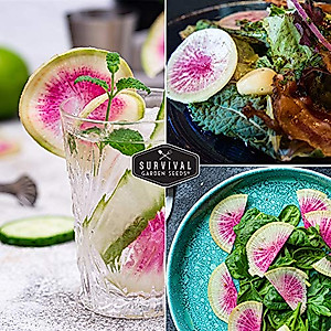 Survival Garden Seeds - Watermelon Radish Seed for Planting - Packet with Instructions to Plant and Grow Unique Asian Vegetables in Your Home Vegetable Garden - Non-GMO Heirloom Variety
