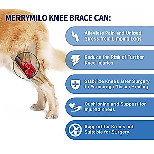 MerryMilo Adjustable Pet Knee Brace For Support With Cruciate Ligament Injury, Joint Pain And Muscle Sore, Better Recovery With Dog ACL Rear Leg Brace, (Size: M)