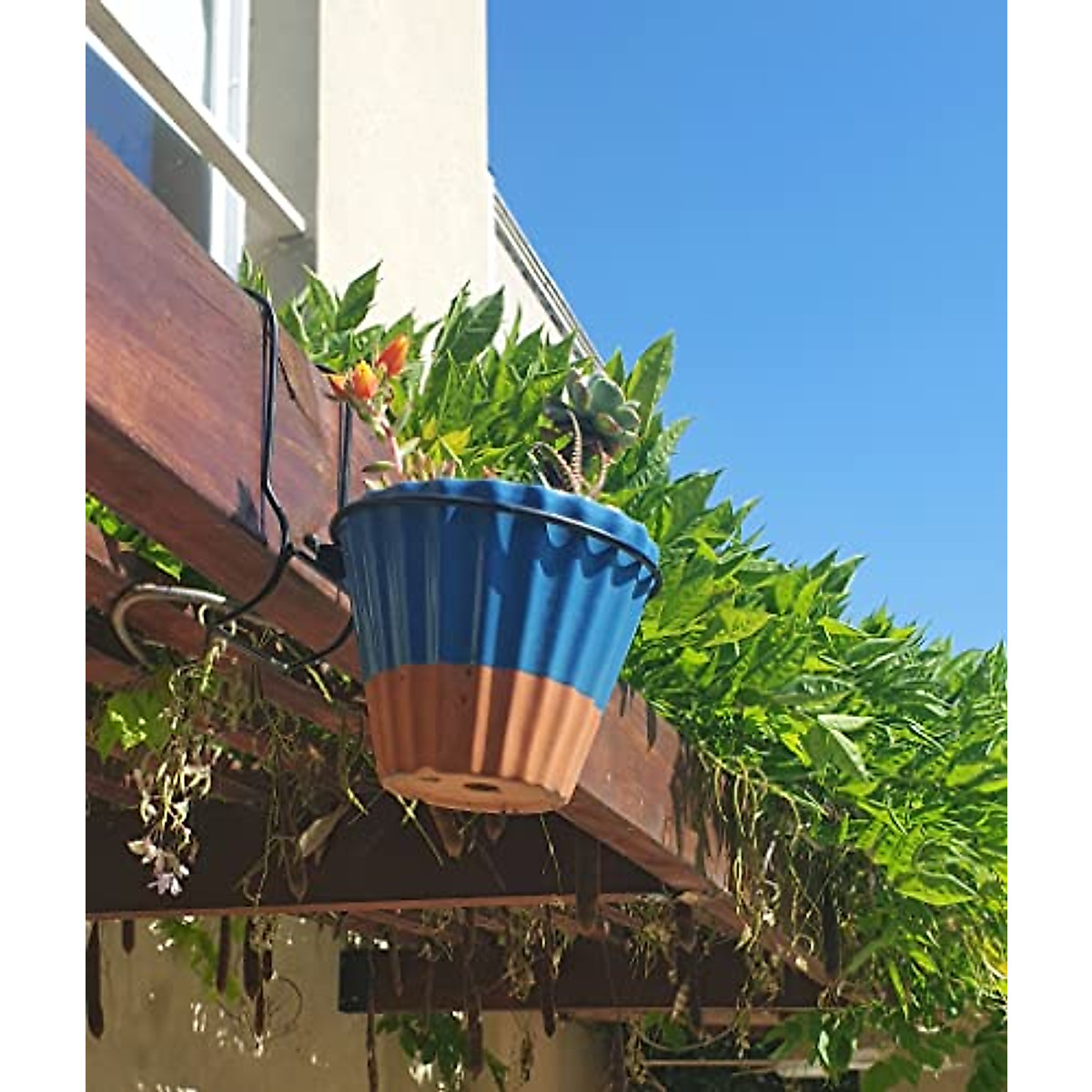 6 Pieces, 6 inches Iron hanging Flower Pot. Metal Plant Wall Hanger, Vertical Garden. Planter Hook Ring, Rail Metal Fence. Indoor and Outdoor. Yard Garden. Wire Trellis. Collapsible Bracket.