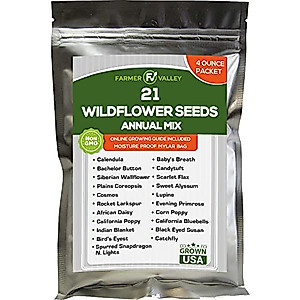 Annual Wildflower Seeds Mix to Attract Pollinators, Butterflies, and Birds - 100,000+ Heirloom and Non GMO Flower Garden Seeds in Bulk 4oz Packet - 21 Varieties for Indoor and Outdoor Planting