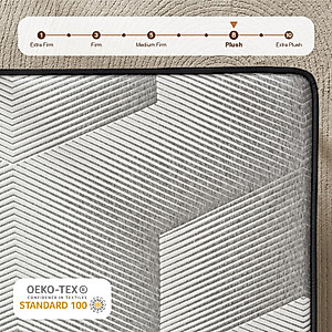 DIGLANT Twin XL Mattress, 14Inch Comfort Plush Memory Foam Hybrid Mattress with Individual Pocket Springs for Support & Pressure Relief, Twin XL Size Mattress in a Box, CertiPUR-US Certified, 39"*80"