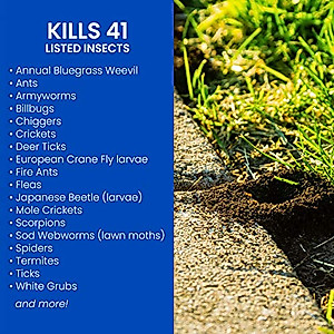 BioAdvanced Complete Brand Insect Killer for Soil and Turf, Granules, 10 lb