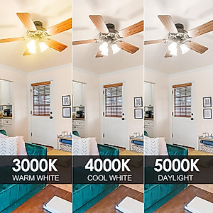 Energetic A15 Refrigerator Bulbs 40 Watts Equivalent (5.5W), LED Appliance Dimmable Light Bulbs, Daylight 5000K, E26 Base, UL Listed, 6 Packs