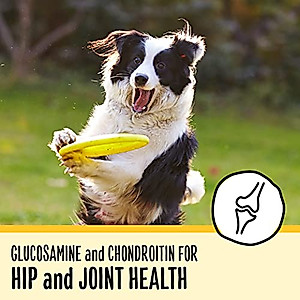 SmartyPants Dog Vitamins and Supplements, Senior Formula: Multivitamin with Glucosamine, Chondroitin, & Probiotics for Joint, Skin, & Gut Support, Peanut Butter Flavor, 60 Soft Chews by SmartyPaws