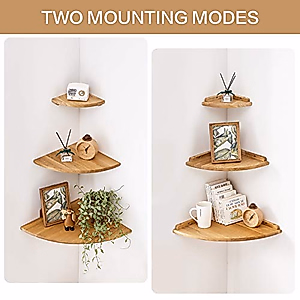 Corner Shelf, 16inch Oak Solid Wood Floating Shelf Display Shelf Round Edging Wall Mount Speaker Shelf Display Rack Organizer