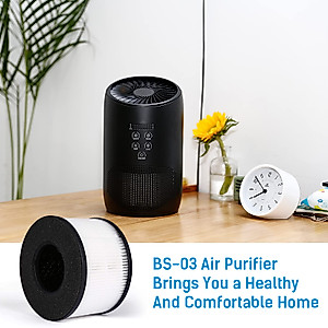 LW-03 HEPA Replacement Filters, 3-in-1 Filter Replacement for BS-03 Air Purifier, Pre-Filter, True HEPA Filter, Activated Carbon Filter