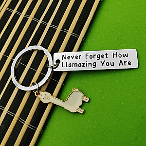 Baipilu Llama Keychain Llama Gift Never Forget How Llamazing You are Keychain for Women Alpaca Gifts Animal Lover Gift Inspiring Inspired Motivational Keychains for Women,birthday gift for friends