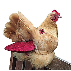 Chicken Diaper-S-Blue