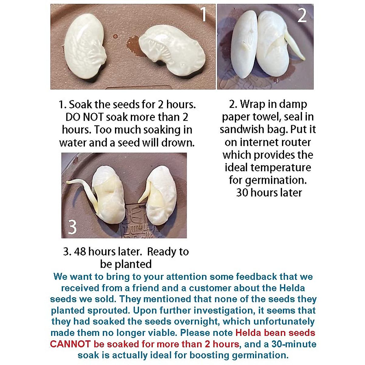 Special! Pole Bean Seeds for Planting Vegetables and Fruits-Chinese Green Bean Seeds 扁豆芸豆.French/Romano Pole Beans.Non GMO Garden Seeds for Home Vegetable Garden-30ct Helda Bean,15g