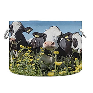 Kigai Black White Cows Round Storage Basket, Toy Basket Bin with Cotton Rope Handle, Laundry Basket Hamper, Clothes Organizer 20 x 14 In