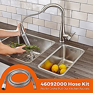 46092000 Pull Out Spray Hose for Grohe Kitchen Faucets, Pull Down Kitchen Faucet Hose Replacement for Alira and Ladylux and Euro Plus, 59-Inch Chrome Finish (Chrome Finish)