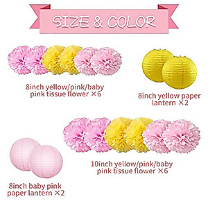 HappyField Sunshine First Birthday Decorations You Are My Sunshine Party Decorations Baby Shower Decorations Yellow Pink Tissue Pom Poms Paper Lantern for Wedding Bridal Shower Sunshine Party Supplies