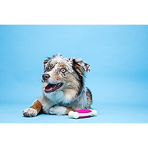 Hartz Chew 'n Clean Tuff Bone Bacon Scented Dental Dog Chew Toy - Medium