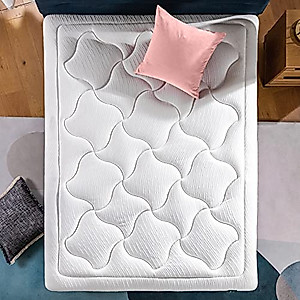 ZINUS 12 Inch Cloud Memory Foam Mattress / Pressure Relieving / Bed-in-a-Box / CertiPUR-US Certified, Twin