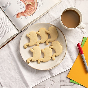 Stomach cookie cutter, 1 piece - Bakerlogy
