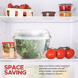 Tafura Lettuce Keeper for Fridge, Lettuce Crisper, Vegetable Saver with Cover, Lettuce Storage Container with Lid, Crisp and Fresh Greensaver, Salad Saver Box.