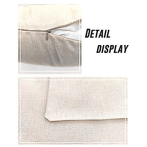 Reserved for The Dog Throw Pillow Case, Funny Dog Pillow Cover, Dog Decor Gift, Gifts Dog Mom, Gifts Dog Owner, Cushion Cover for Sofa Couch Bed, 18 x 18 Inch-8L110