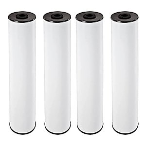 Pentair Pentek RFFE20-BB Big Blue Water Filter, 20-Inch, Whole House Radial Flow Iron Reduction Replacement Cartridge, 20" x 4.5", Pack of 4
